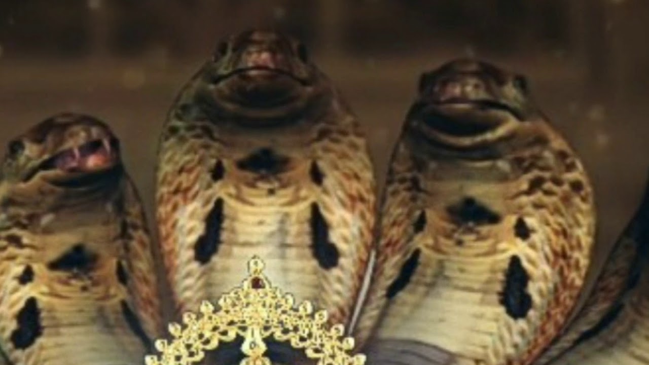 || MAA MANASHA || - YouTube