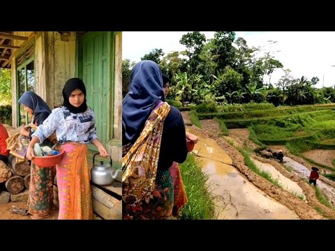 Aktipitas JANDA Desa || Udah Cantik Cantik Rajin Pula - YouTube