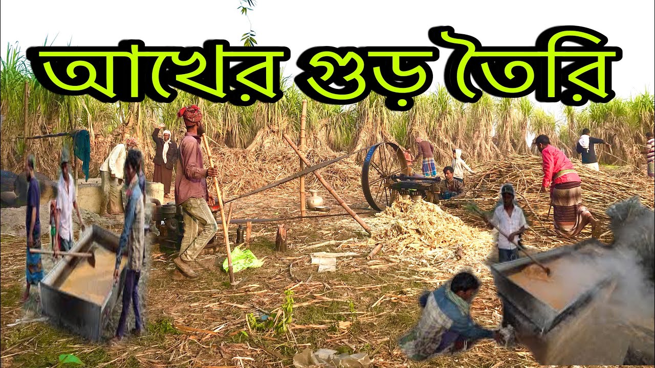 আখের গুড় তৈরি Sheikh Shipon Vlog video 2024 # - YouTube