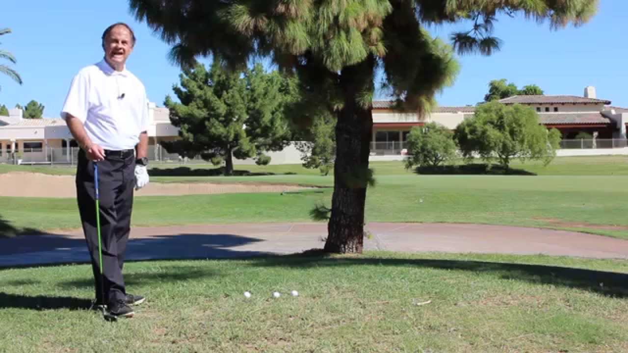 How To Hit A Golf Shot Under A Tree - YouTube
