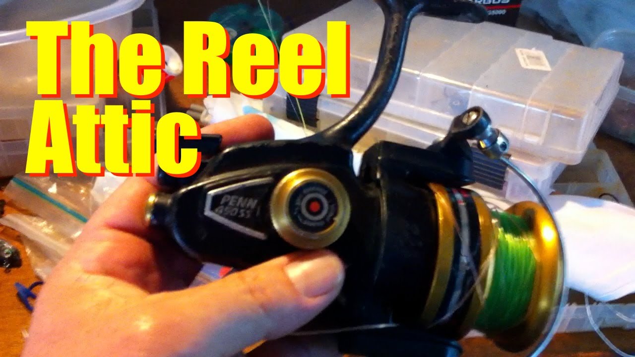 REEL ATTIC - Penn 450 SS - YouTube