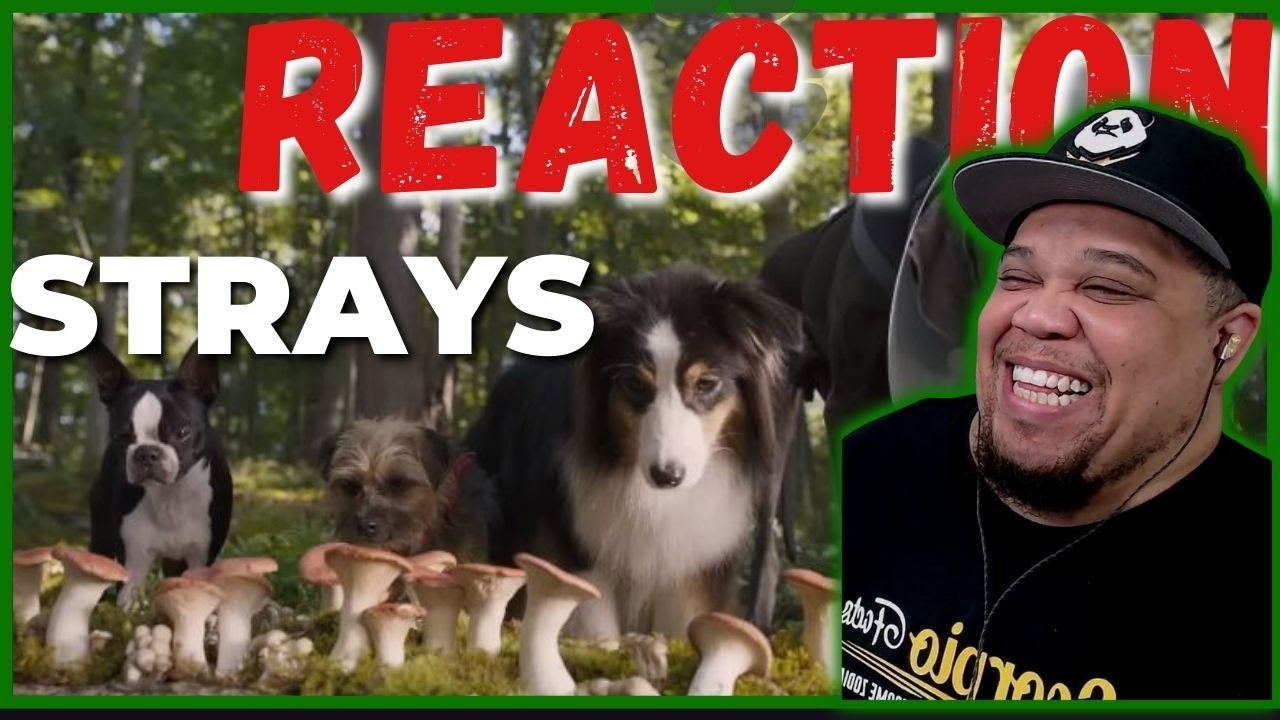 STRAYS -OFFICIAL TRAILER WILL FERRELL & JAMIE FOXX | REACTION ...