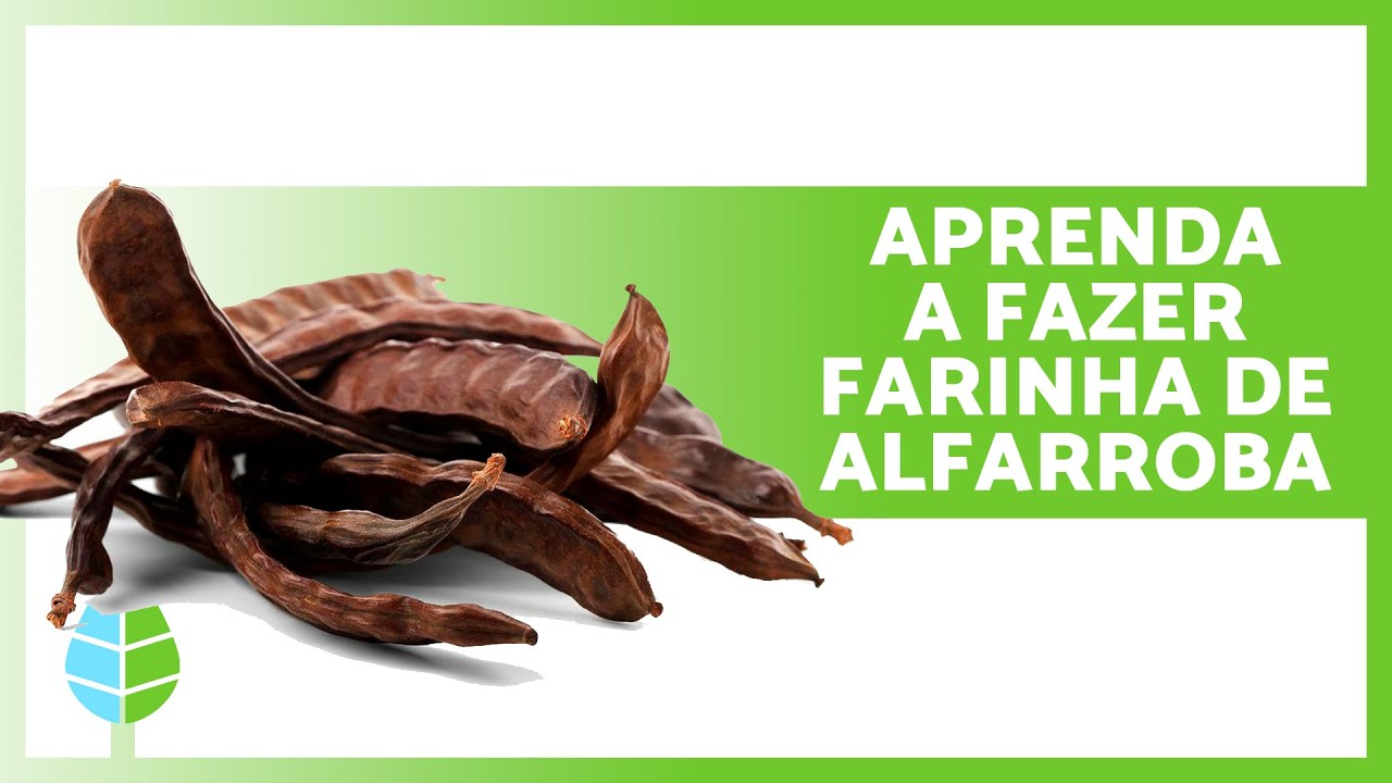 BENEFÍCIOS DA ALFARROBA 🌱 e suas Propriedades - YouTube