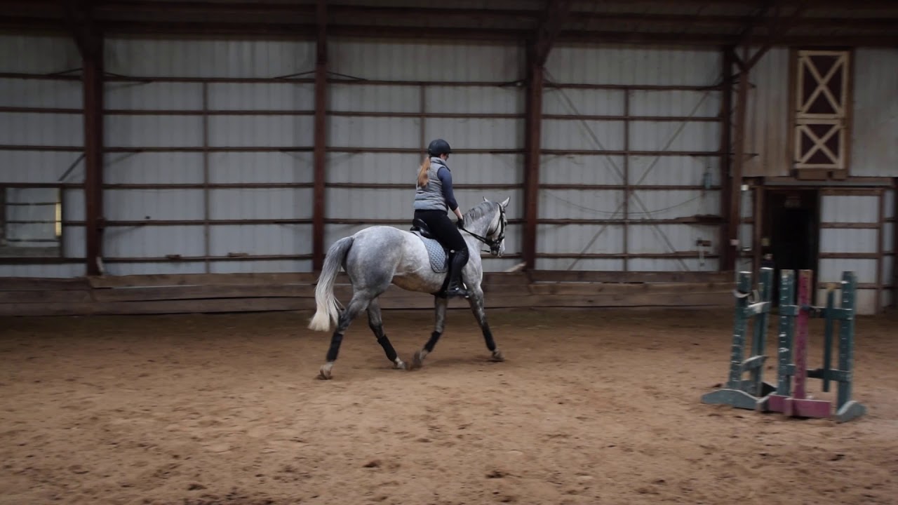 medium trot posting 4/4/2020 - YouTube