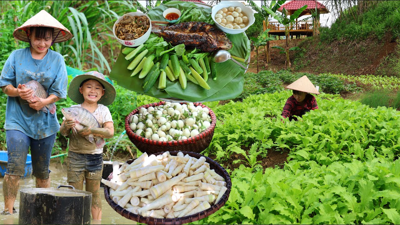 START TO FINISH: farm life | care, harvest, sell and cook | Live With ...