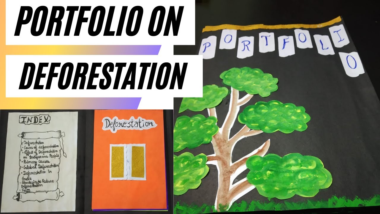Portfolio on Deforestation | Portfolio Design | SSt Portfolio ...