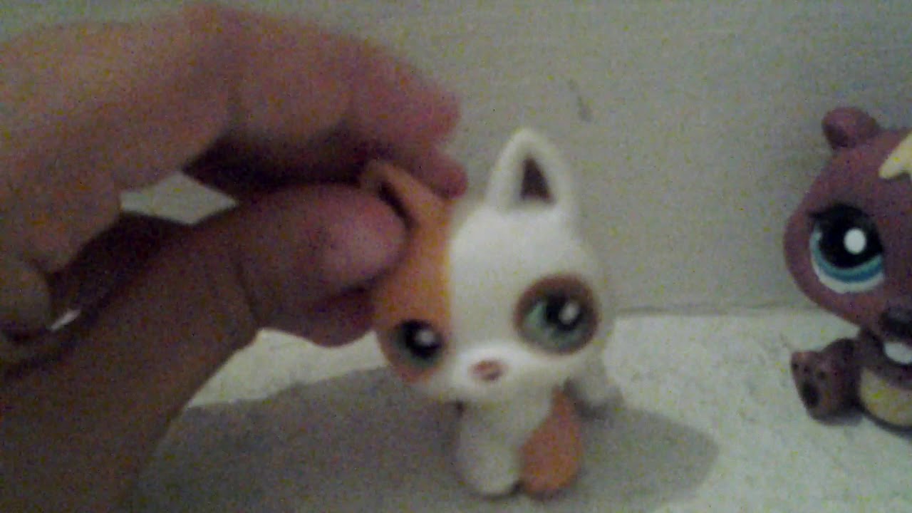 Lps brocante et première partie new lps du bon coin - YouTube