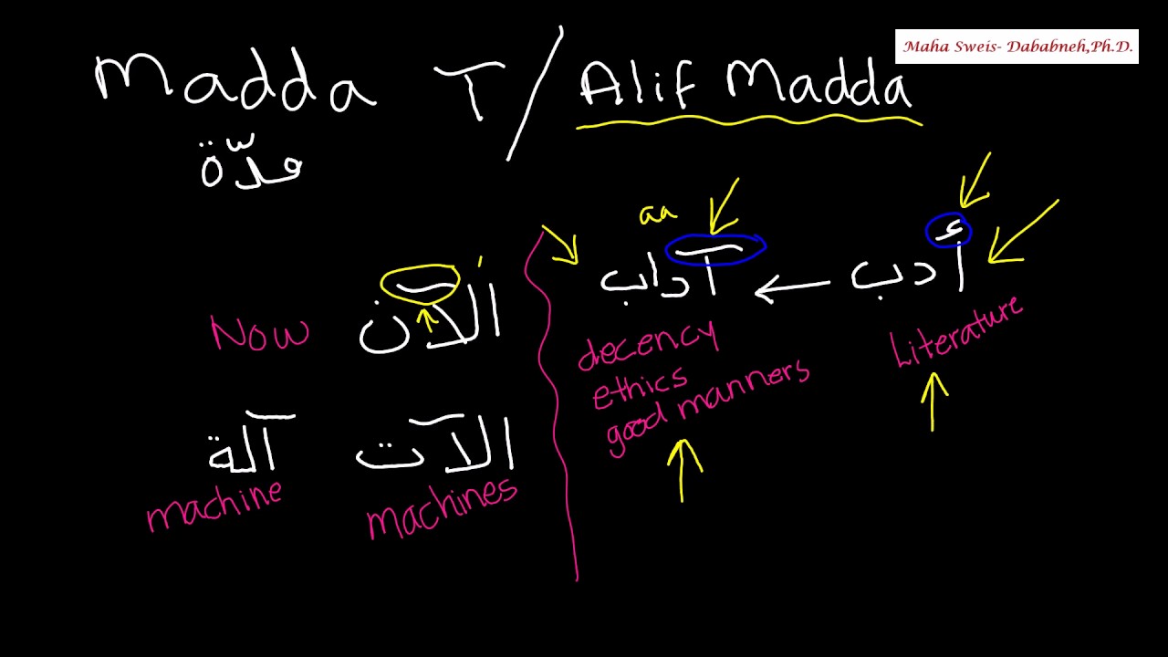 Arabic Language -Beginners and Intermediate Video 95- Madda 2 - YouTube