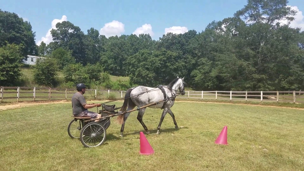 Milton's Collar - YouTube