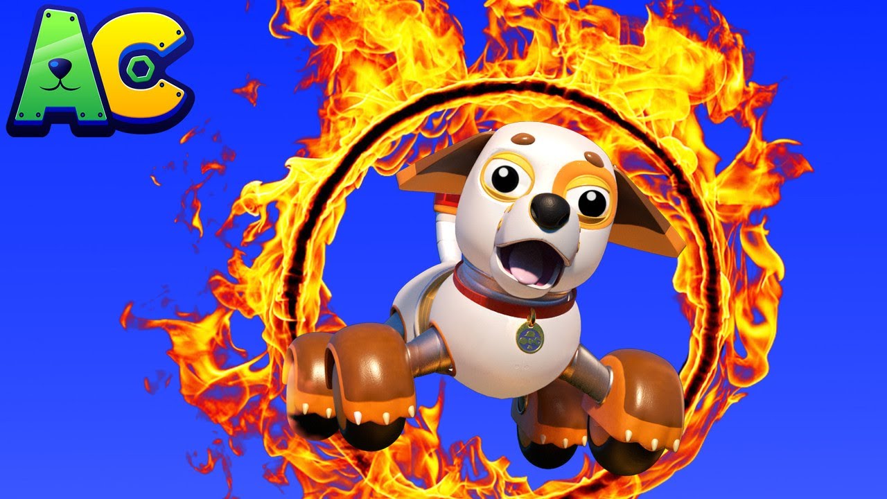 AnimaCars - TORCH EL PERRO salta sobre el anillo! - caricaturas para ...