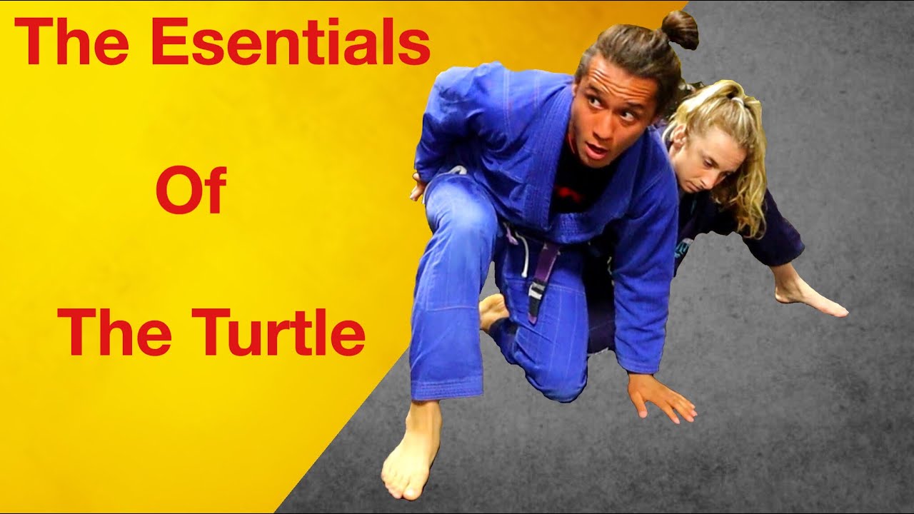 Turtle bjj escapes and concepts - YouTube