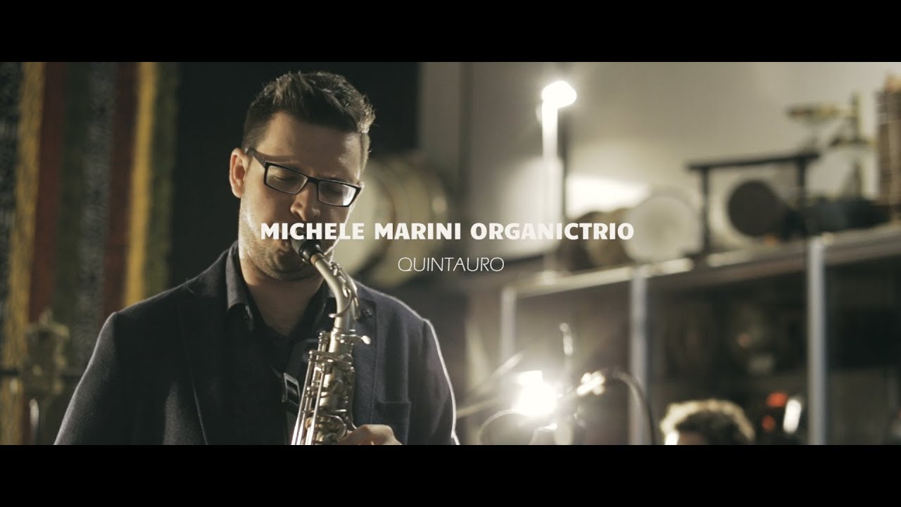 MICHELE MARINI Organic Trio : Quintauro [official video] - YouTube