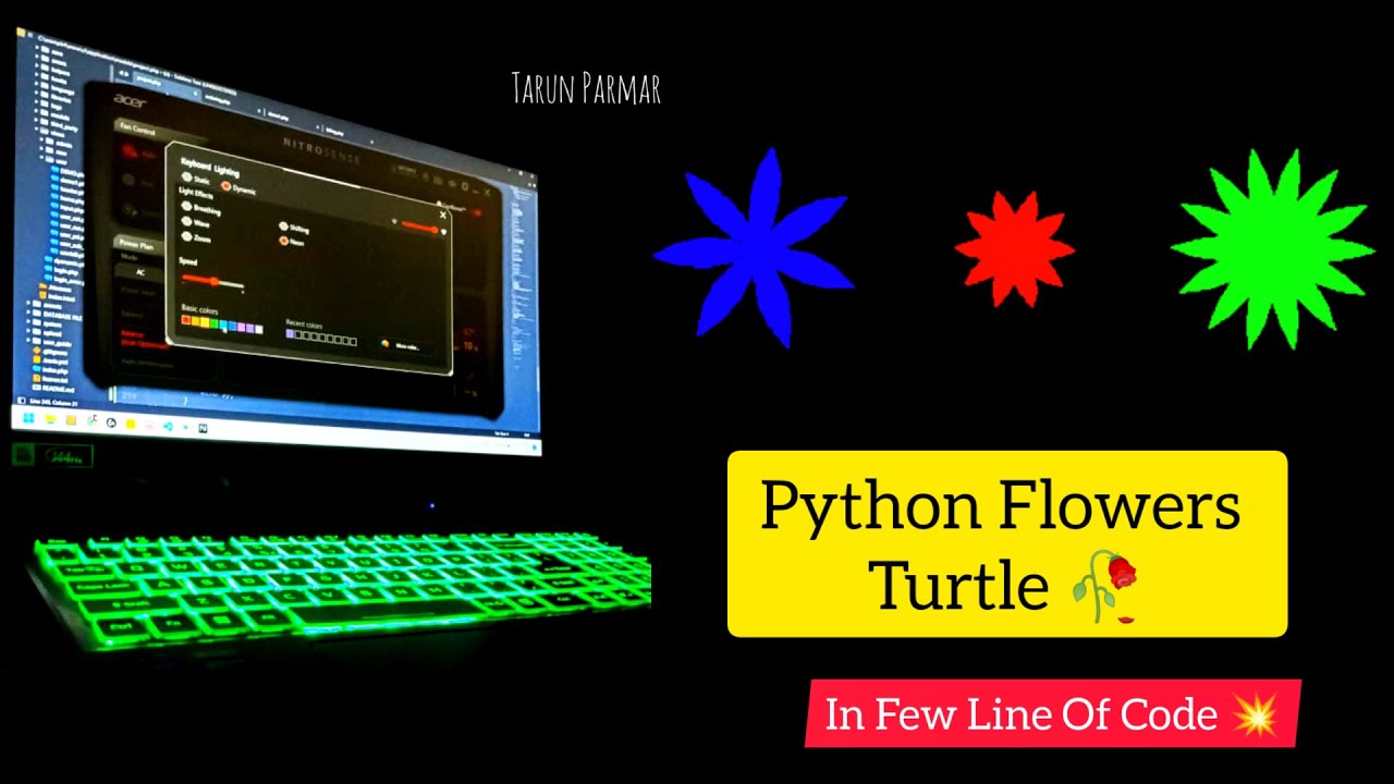 Python Turtle Full Tutorial Python Flower Turtle Python Turtle Graphics Tutorial Youtube 0014
