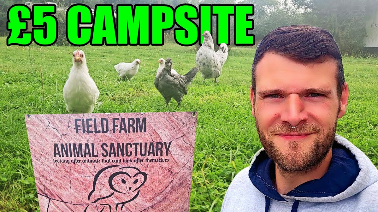 £5 overnight stay at Field Farm Animal Sanctuary near Loughborough ...