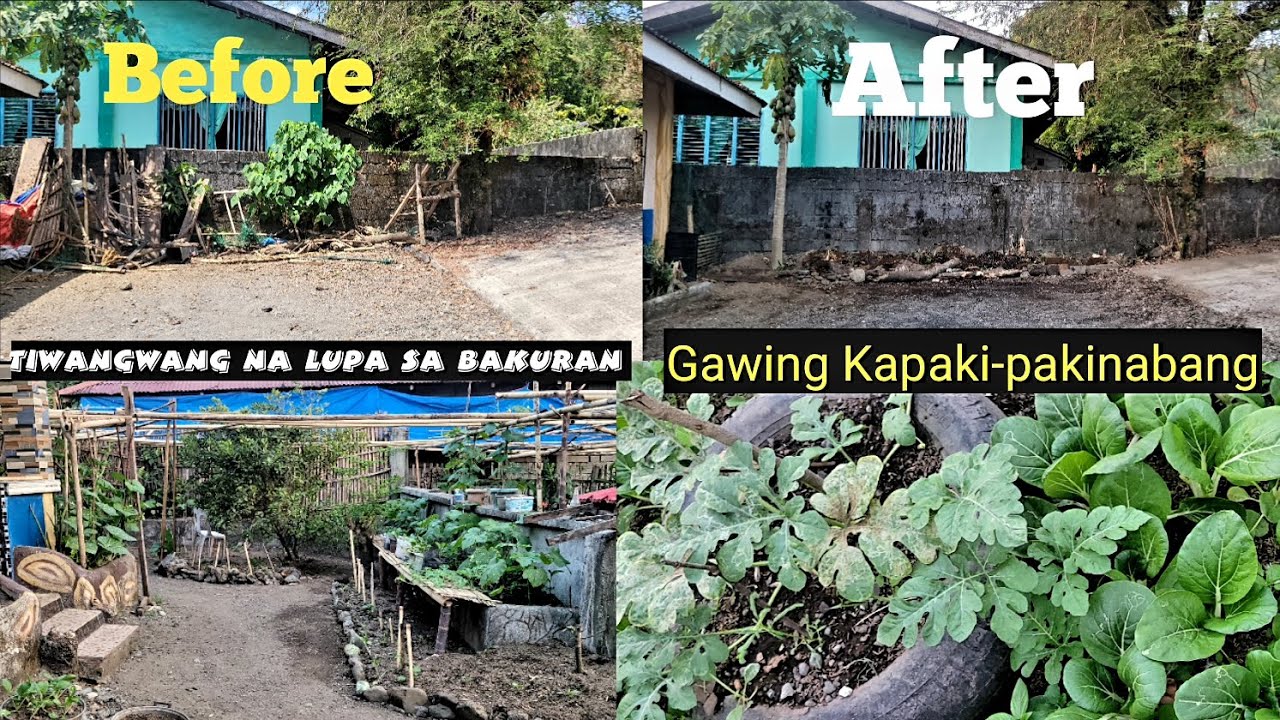 SIKAPING MAPAGANDA ANG BAKURAN / #backyardgardening #gardening - YouTube