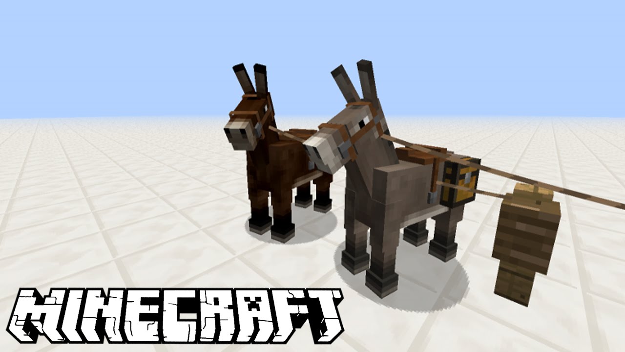 Minecraft - TEAM SKYWARS - A Caça ao Mula! - YouTube