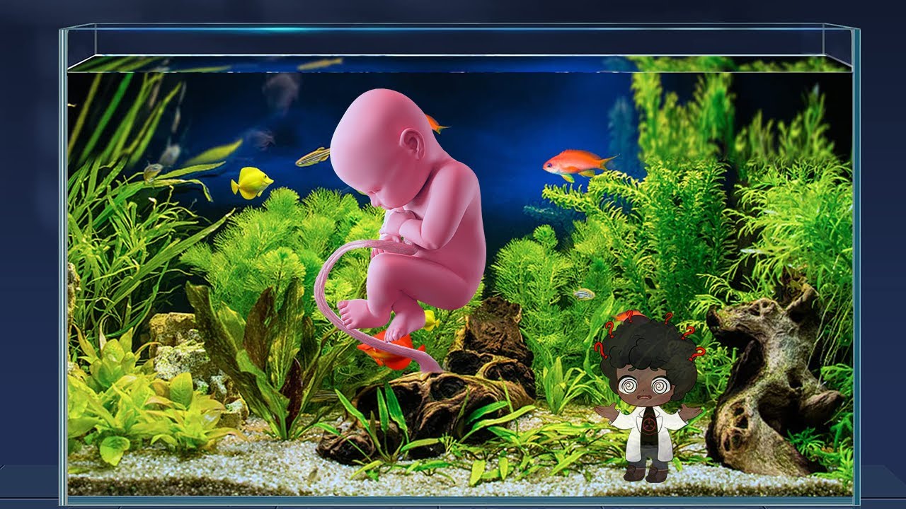 My Fish Tank is giving birth - SCP 2259 - YouTube