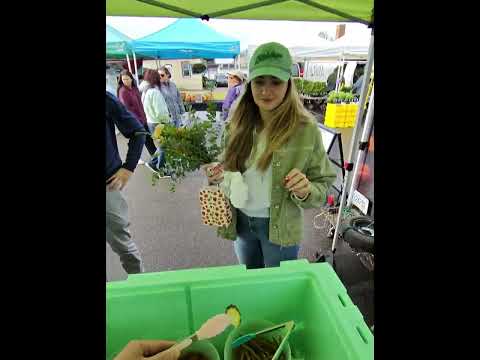 Dill Daddy Market Moments Episode 10