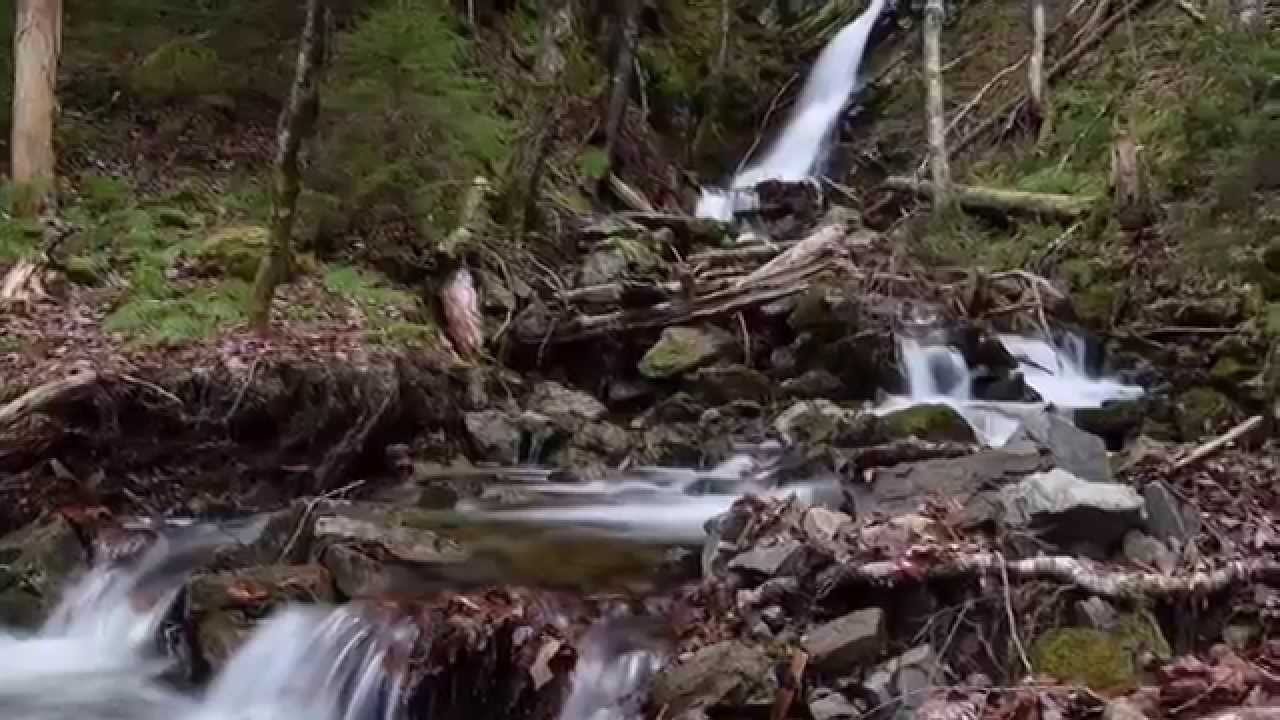 Portapique River Tributary Fall, Nova Scotia - YouTube