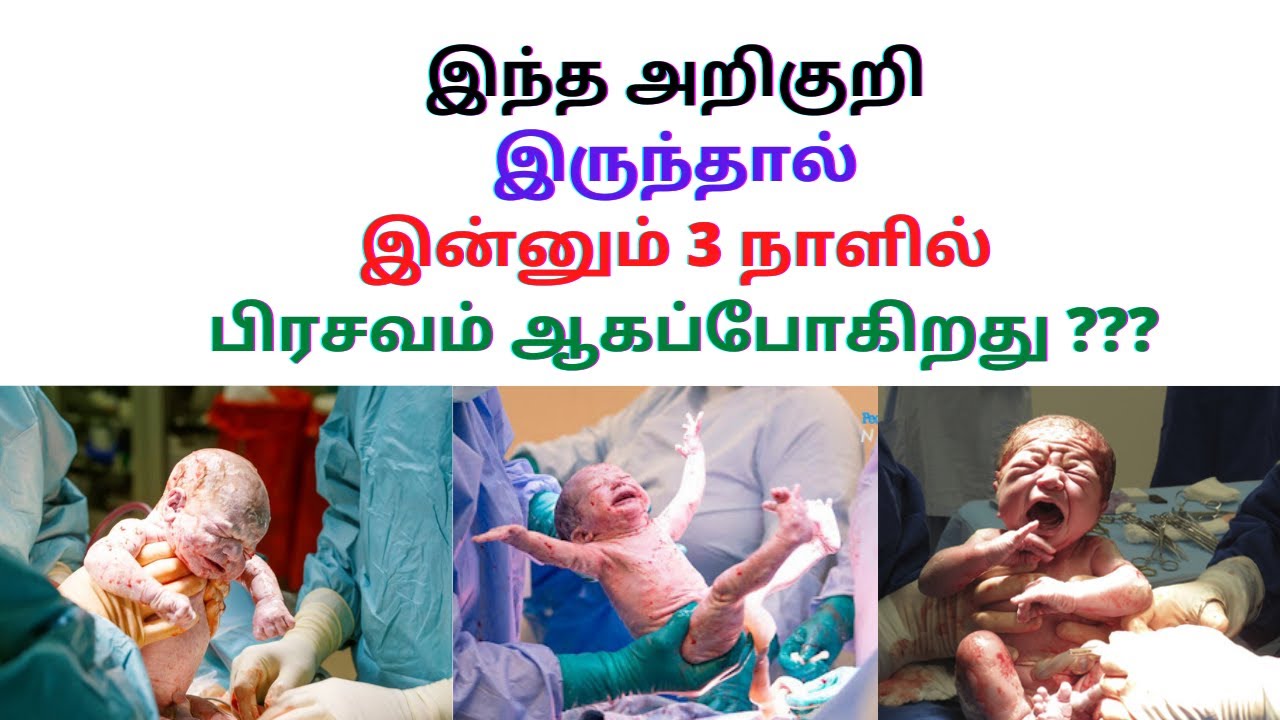 Pre Labor Sign and Symptoms in Tamil | delivery symptoms in 9th month ...