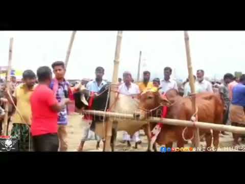 কোনডা লালডা না কালাডা, konda lalda na kalada, funny Nigga - YouTube