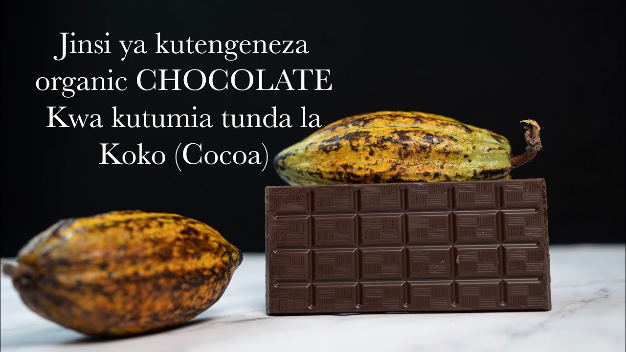 Jinsi Ya kutengeneza Organic Chocolate kwa kutumia Tunda La Koko ...