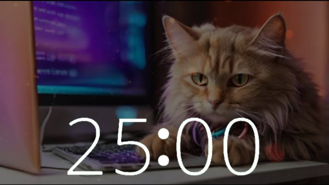 🕒 25 Minute Timer with Countdown, 10 Second Alarm | Lofi House Music International Rescue Cat ...