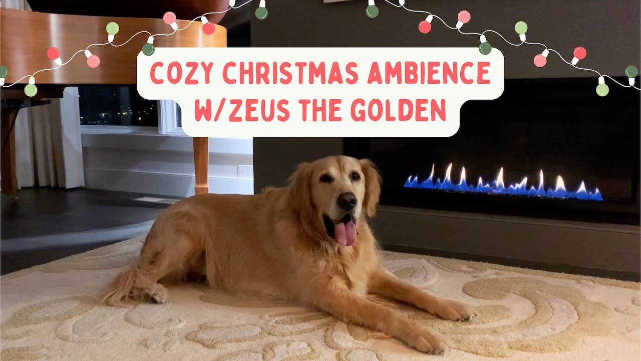 Instrumental Christmas Music Ambience by Davis Causey & Jay Smith ...