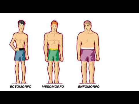 Teorías de W.H.Sheldon - YouTube