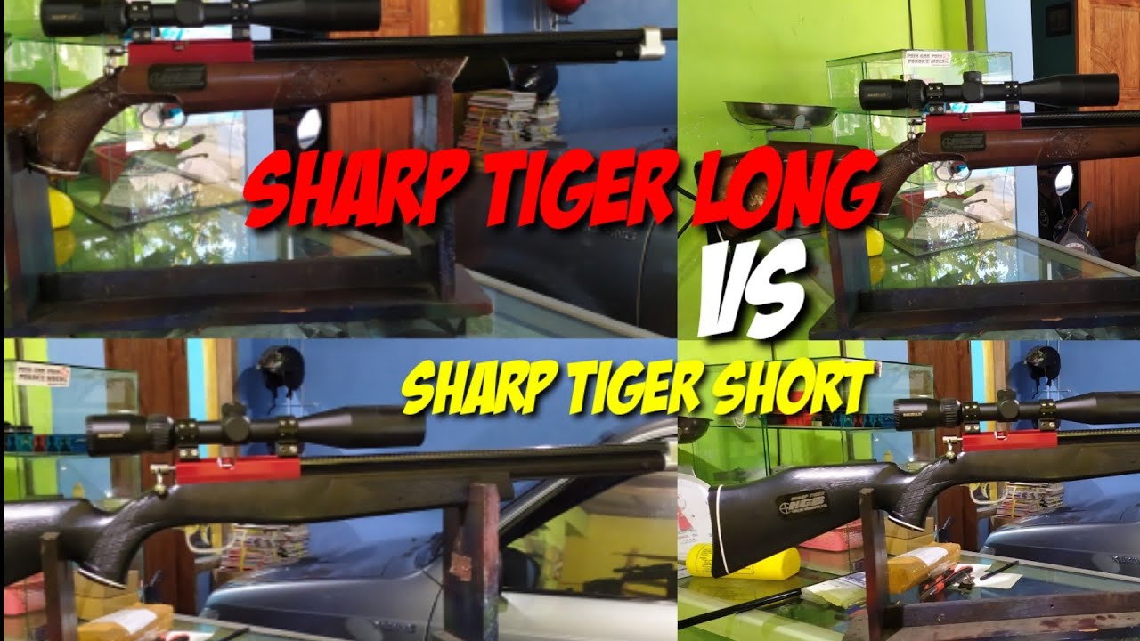lebih BAGUS MANA SHARP TIGER LONG vs SHARP TIGER SHORT??? - YouTube