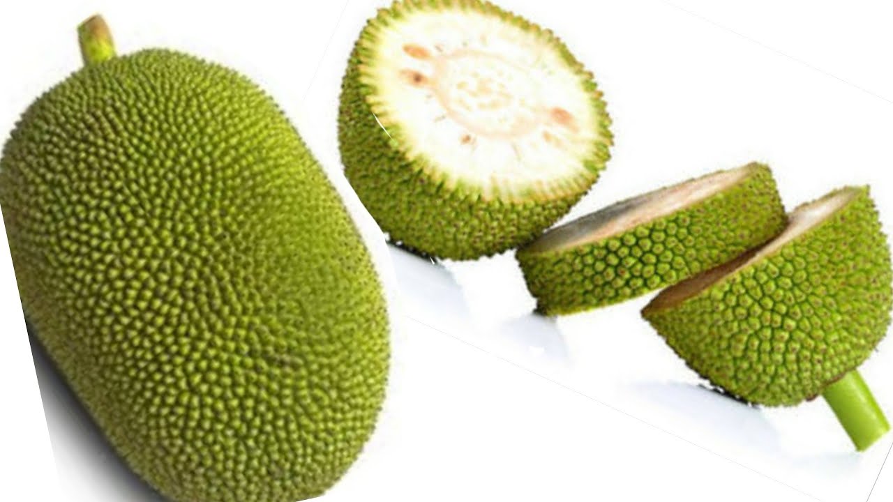 How to cut kathal /Jackfruit very easily at home /घर पर कटहल काटने का ...
