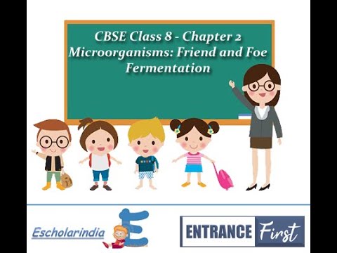CBSE Class 8 - Chapter 2. Microorganisms: Friend and Foe - Fermentation ...