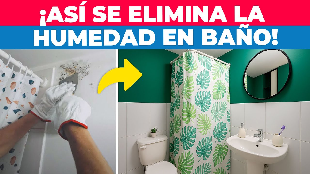 Cómo impermeabilizar muros con humedad en baño - YouTube