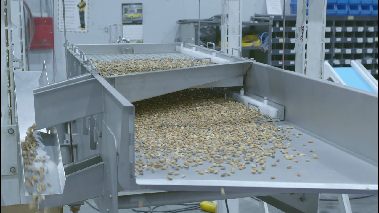 Ultra Direct Vibratory Conveyor-Almond Grading & Screening - YouTube