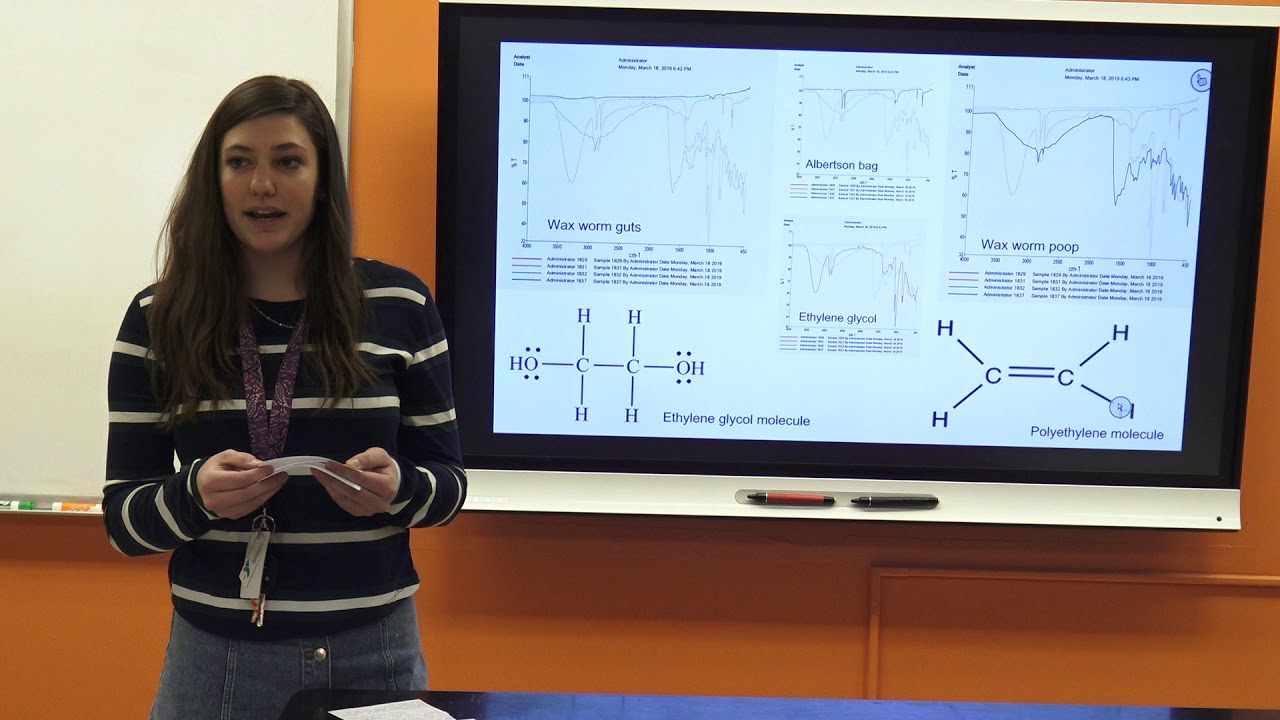Wax Worms: A Possible Solution to Plastic Pollution by Virginia ...
