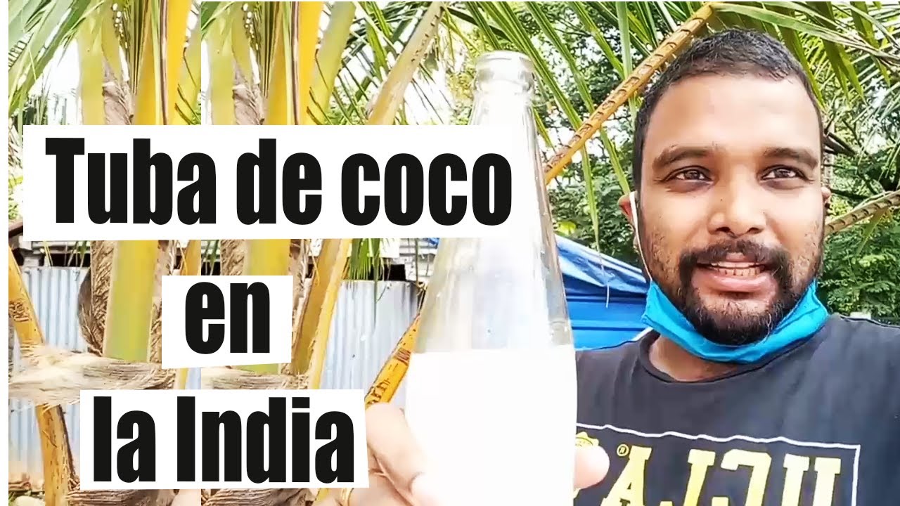 Tuba de coco en la India - YouTube