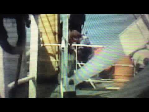 Spiders 2 breeding ground 2001 - YouTube