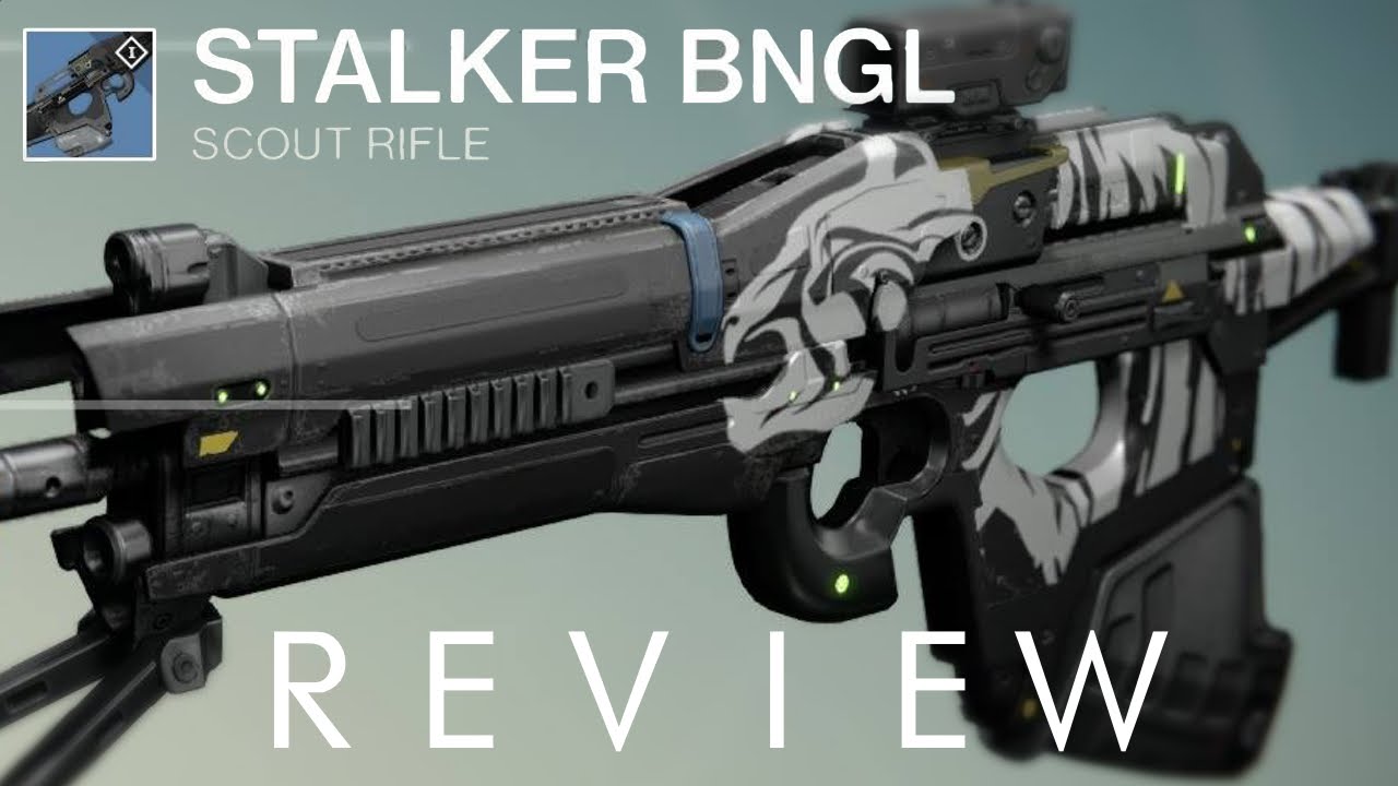 Stalker BNGL - Best Rare Scout Rifle - Destiny Weapon Review [PS4 ...