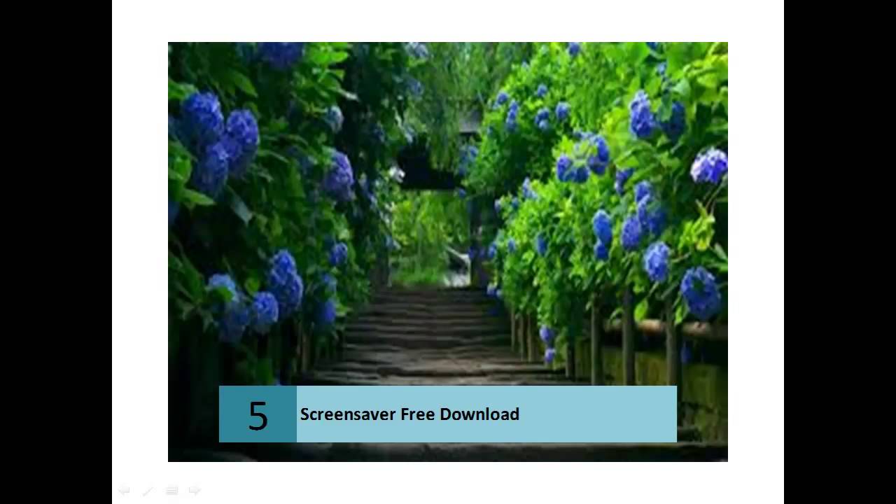 Top 10 Free Screensavers Downloads - YouTube