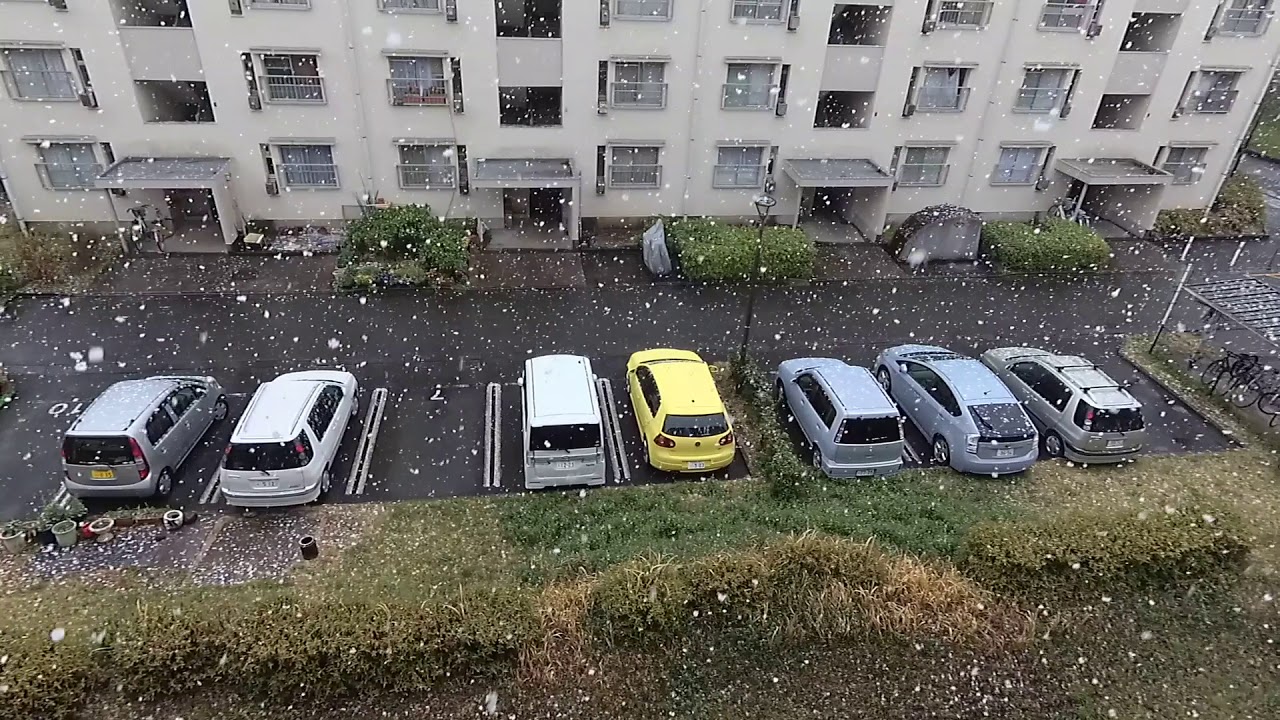 Snowfall @ Fussa-shi, Japan - YouTube