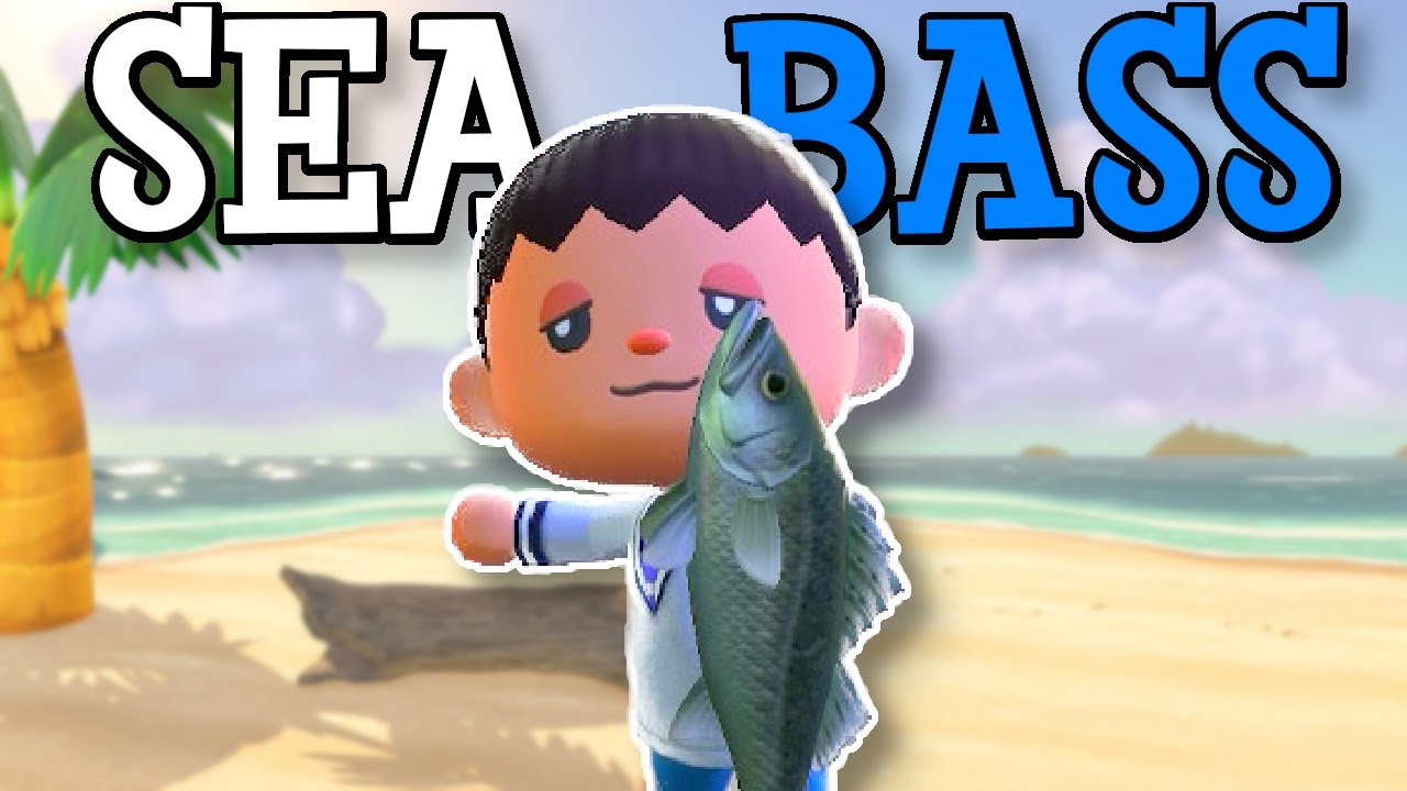 How Fast Can You Catch A Sea Bass in Every Animal Crossing Game? - YouTube