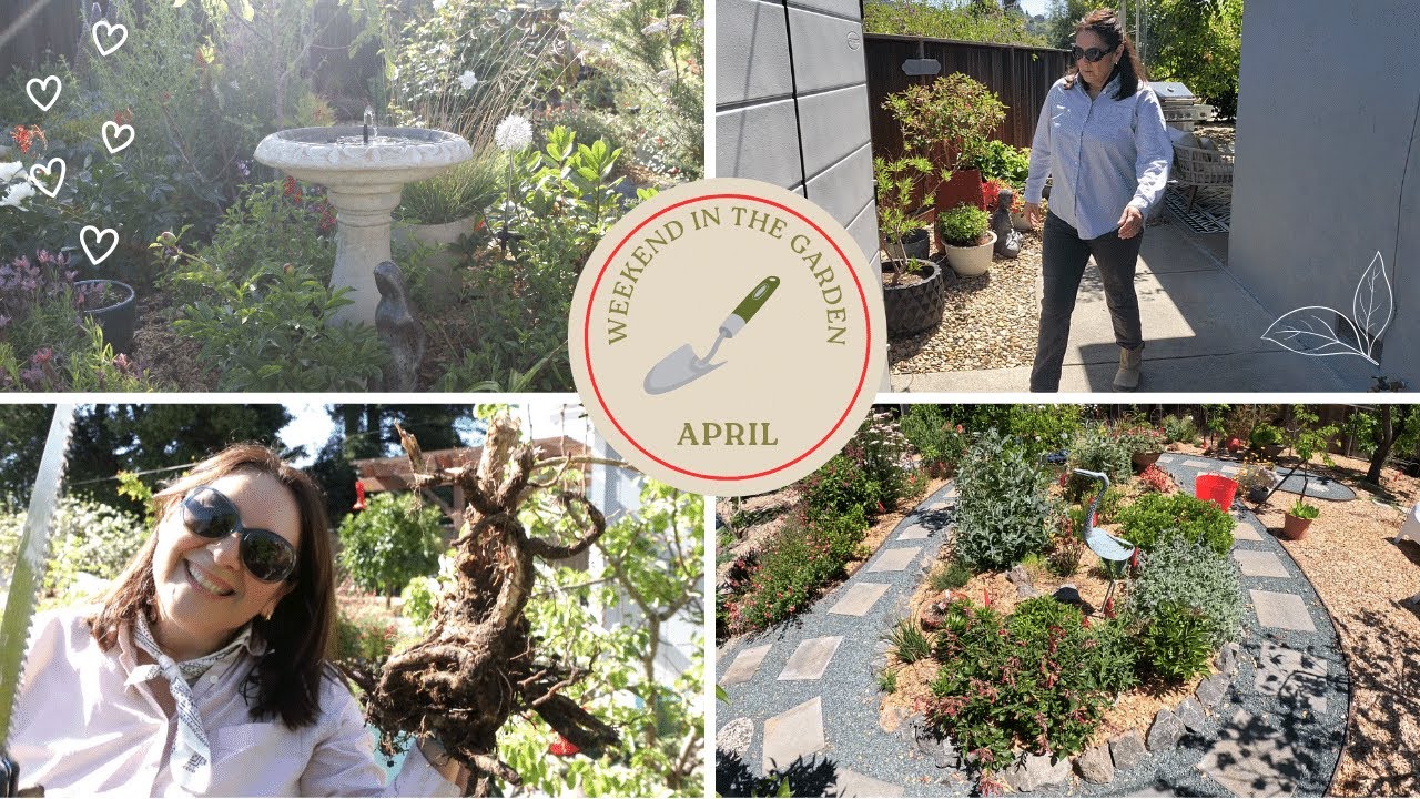 Weekend in the Garden - Relaxing Garden Tour for April - YouTube
