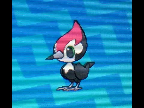 LIVE SHINY PIKIPEK!!! - Pokemon Sun & Moon - YouTube