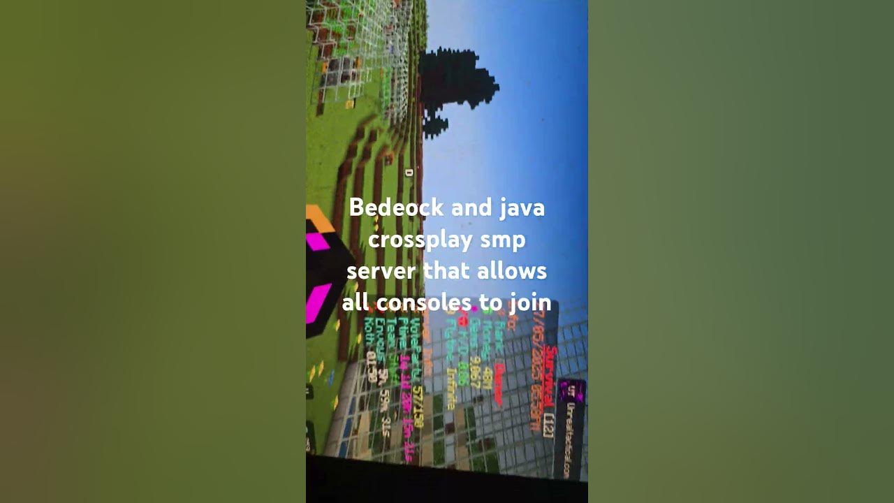 Join Survival Server Bedrock Edition and Java - YouTube