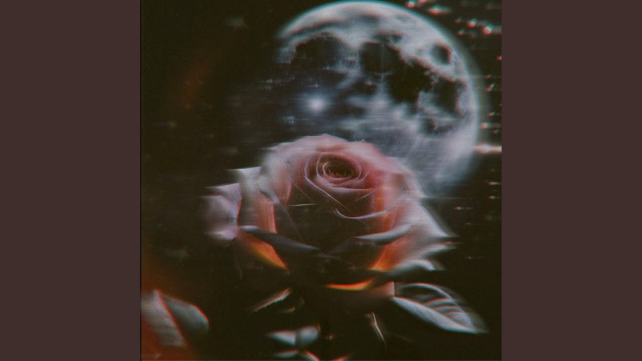 A Rose on the Moon - YouTube