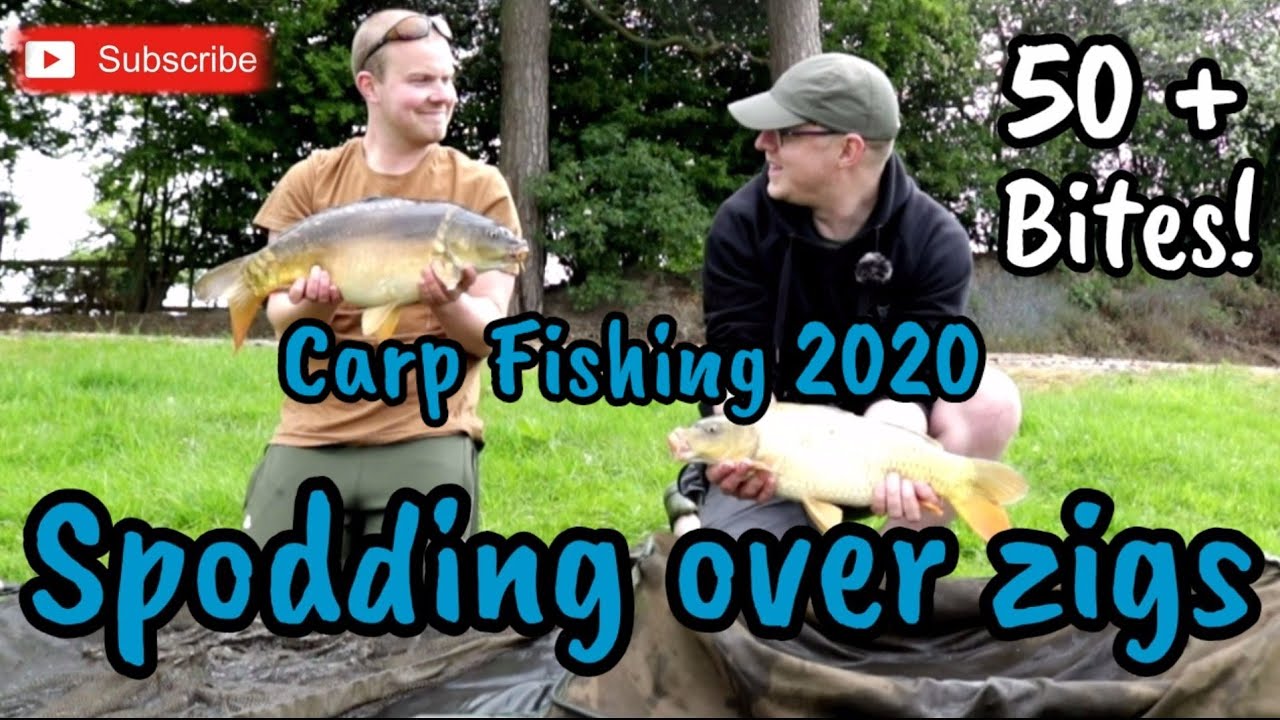 Carp Fishing - May - Spodding over zigs at Gorsty Hall Fishery! Over 50 ...