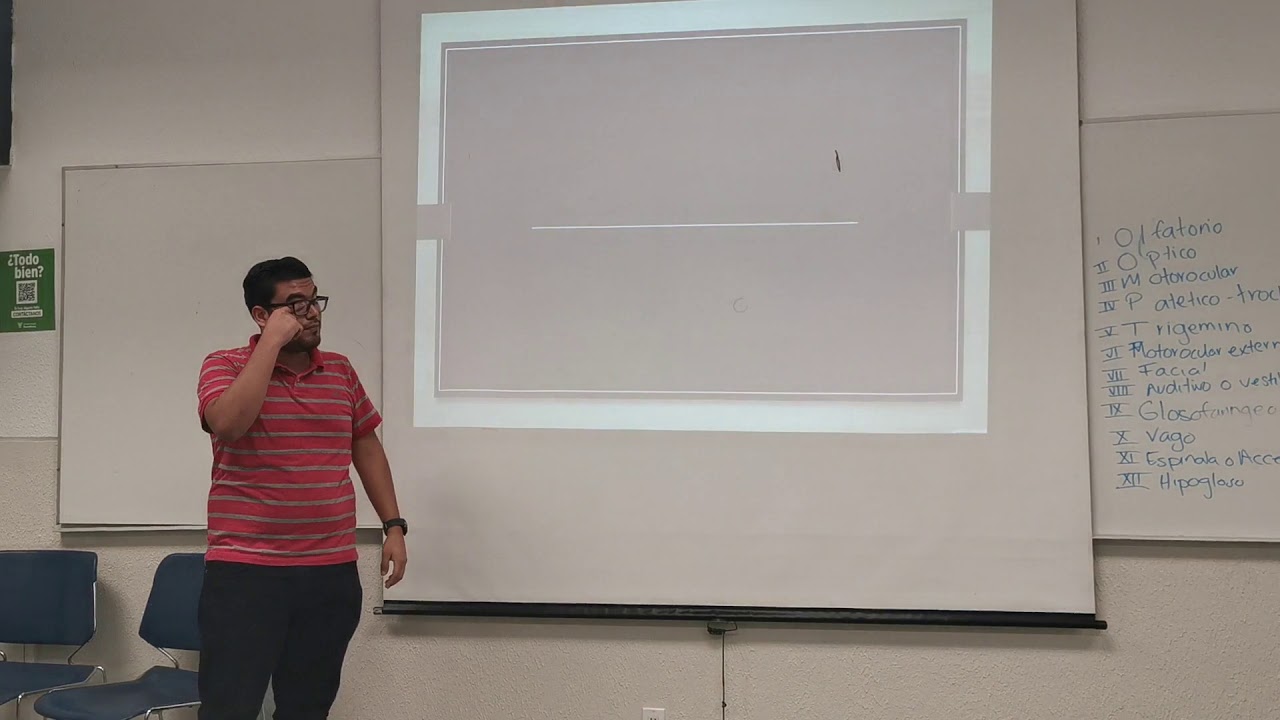 EVIDENCE 1 Effective Presentation Workshop - YouTube