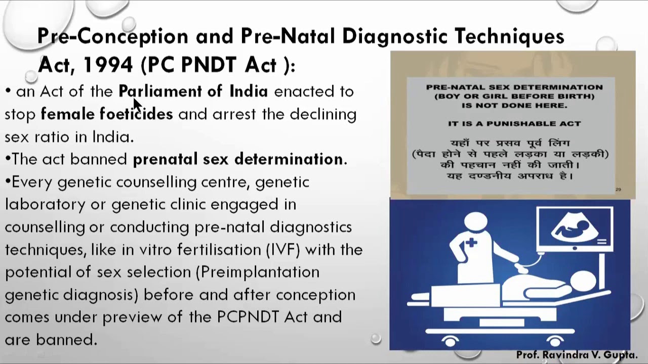 PC PNDT Act ll Reproduction in lower and Higher animals ll 12th Biology ...