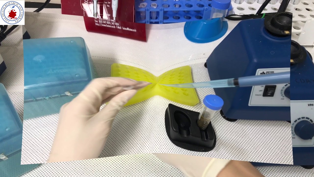 Vanillin assay for catechin - YouTube