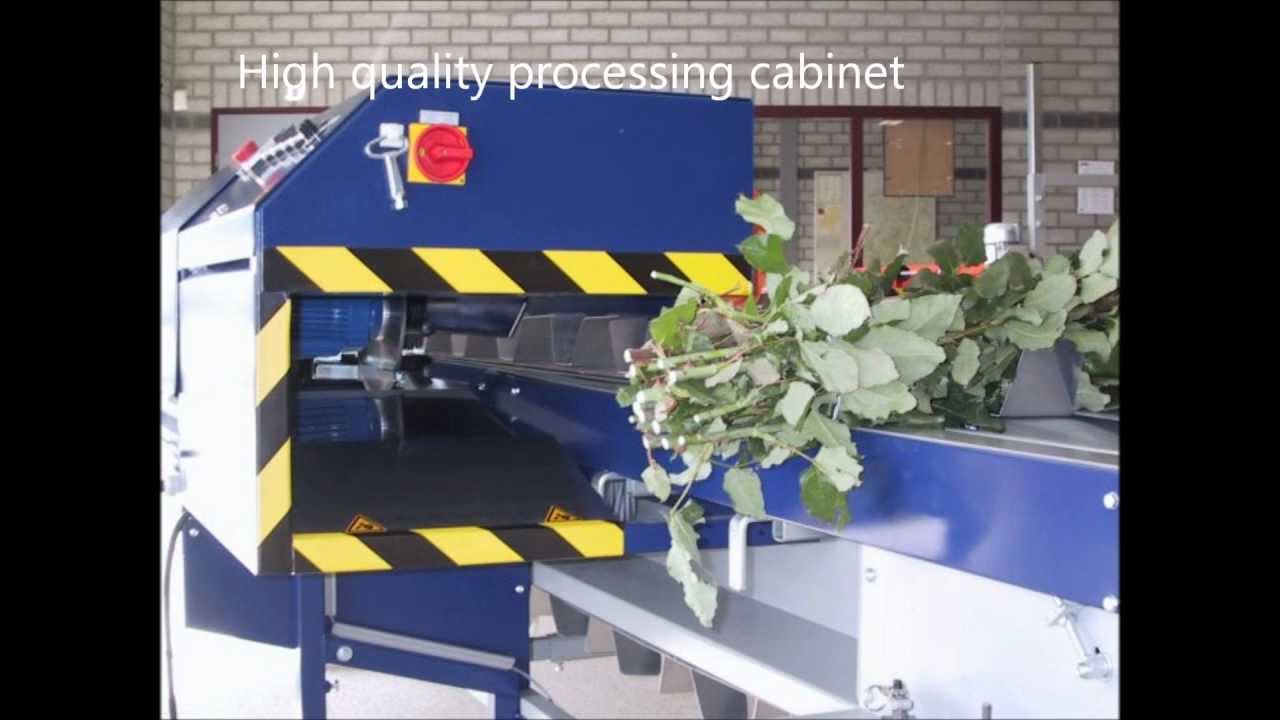 T 3100 Flower Processing Line - YouTube
